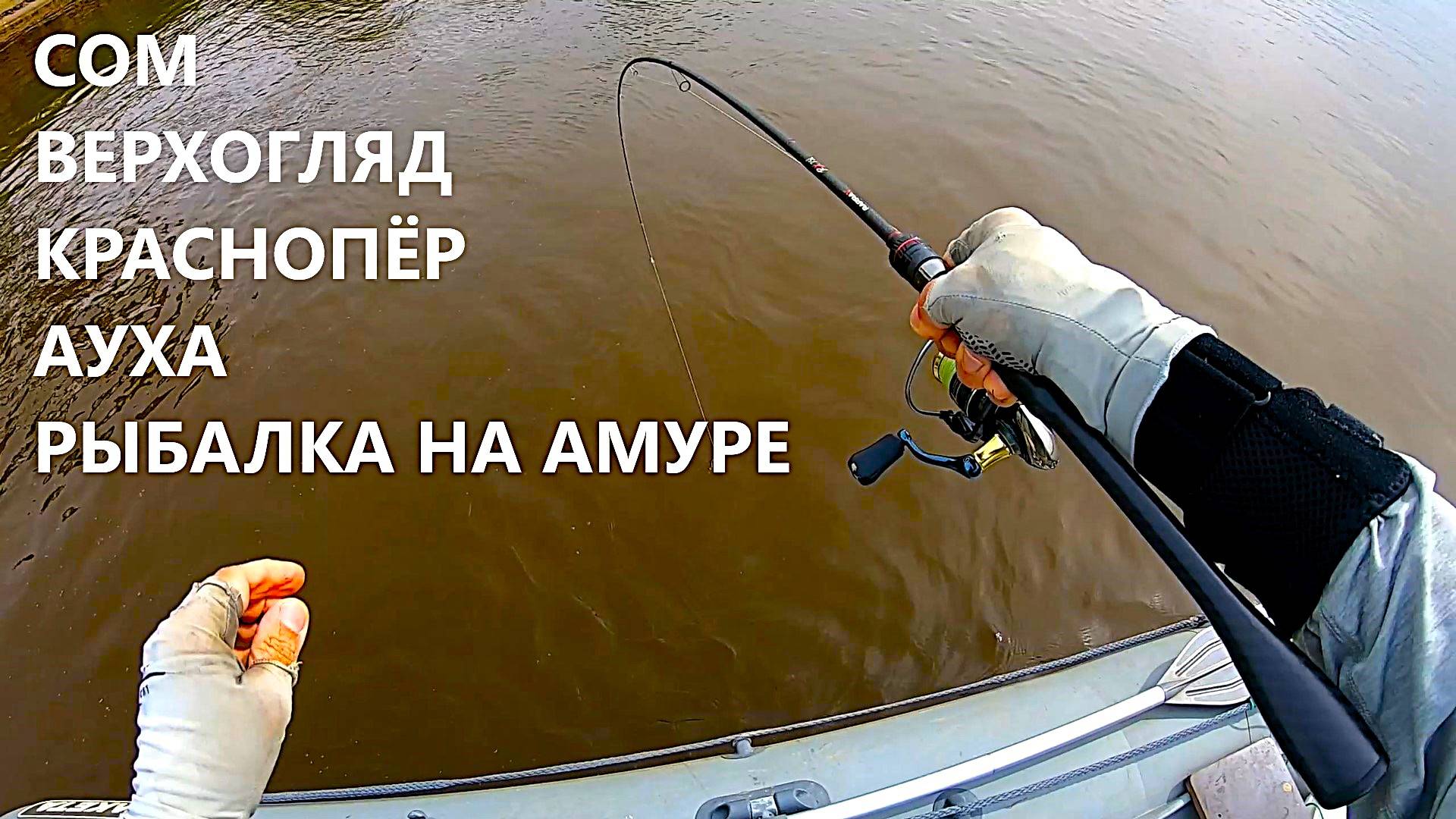 Сом, краснопёр, верхогляд, ауха на спиннинг