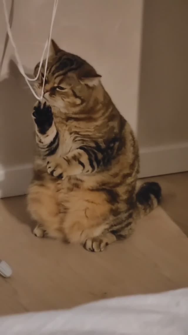 Ох уж этот шашлык!
#shorts #смешноевидео