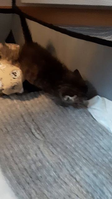 Обход территории