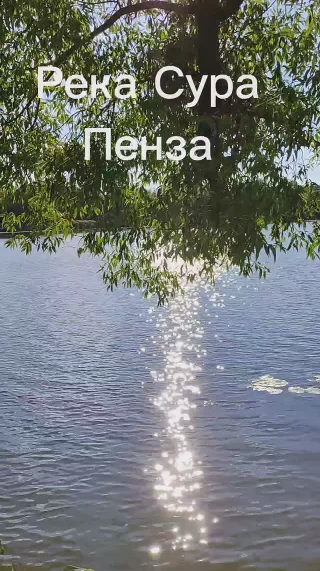 Берегите эти земли! Пенза. Река Сура