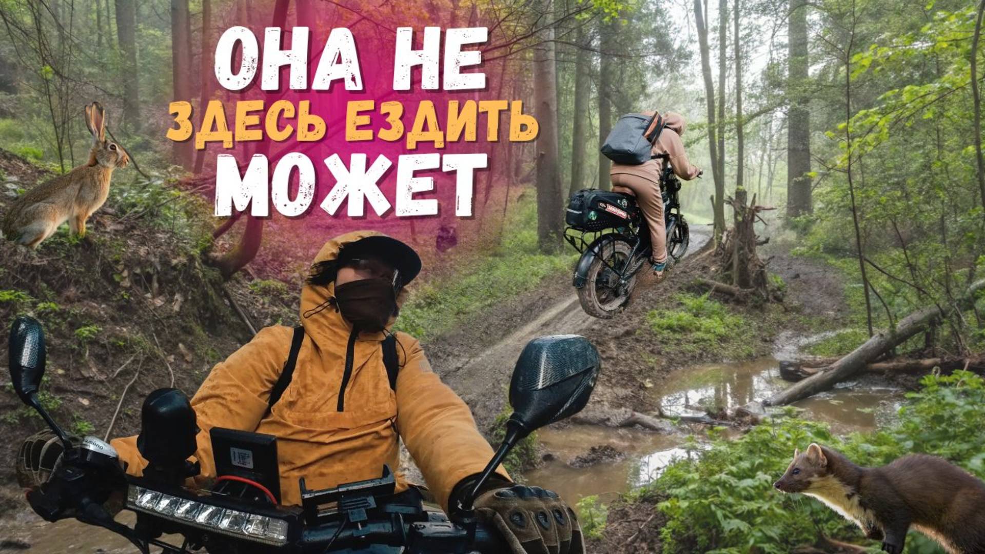 Сможем ли мы выжить в этой дикой лесной поездке?