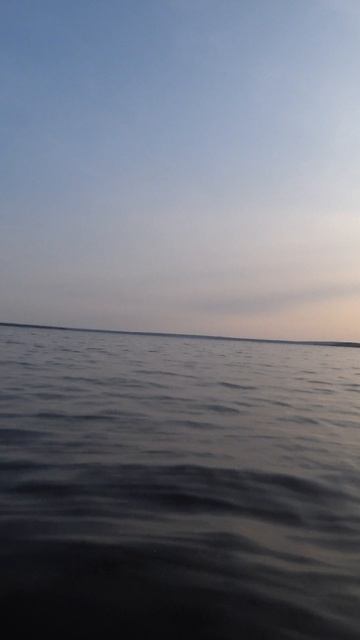 ПОКЛЕВКА СУДАКА! КАК УДАР ЭЛЕКТРИЧЕСТВОМ!