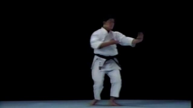 Хейан Сёдан Вид сзади