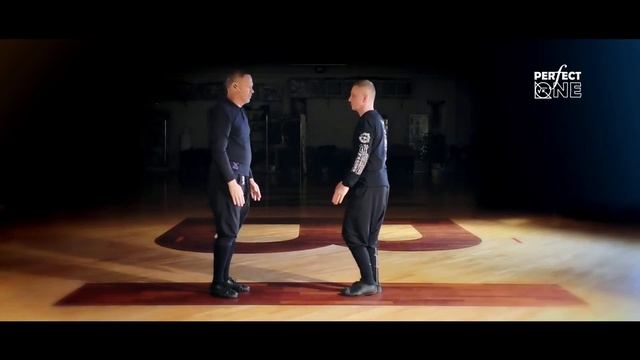 Алхимия туйшоу. Восемь сил тайцзи-цюань в парной работе. Фрагмент обучающего фильма