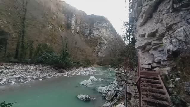 Сочи, Самшитовая роща, заповедник, тропа здоровья. Красная поляна, Сочи. Новый Год.