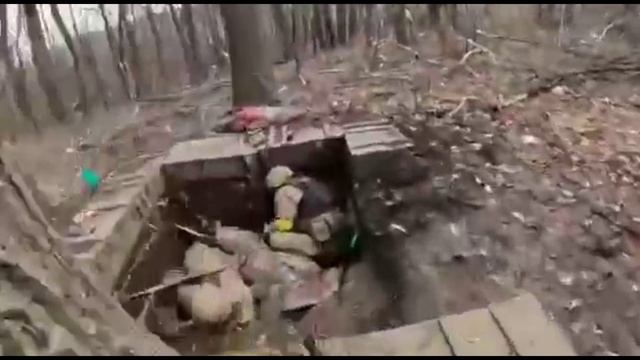 Thelema Borealis - N.I.E.T.Z.S.C.H.E. (2003-2023)