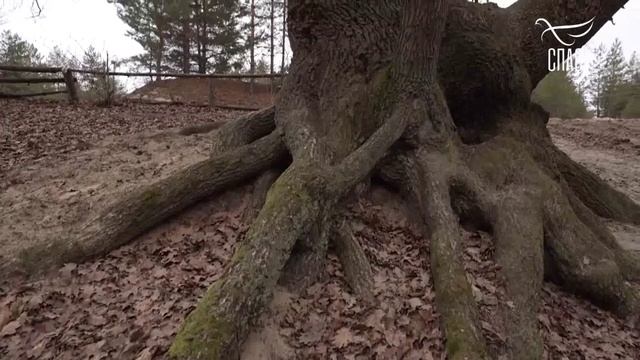 Старец Филипп. Луганское чудо