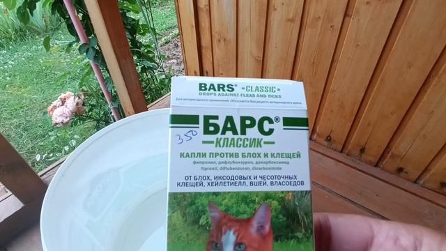 Начинаю проводить обработку картофеля от колорадского жука