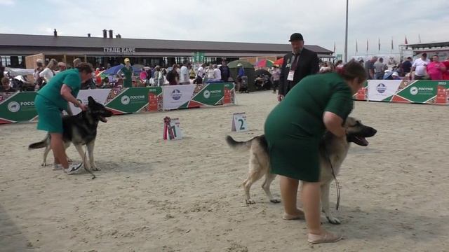 Сравнение рабочего класса