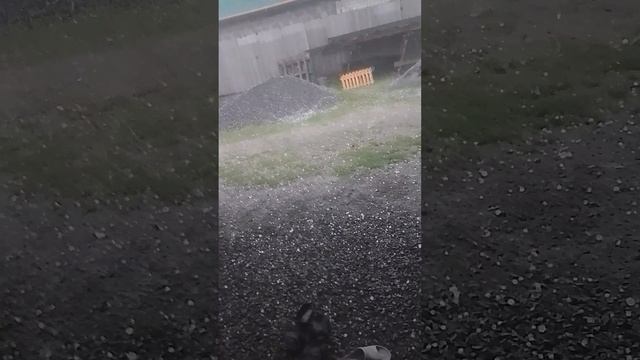 На Южном Урале прошел град капец все деревья весь виноград помидоры ,ягоды все труды огородные жесть
