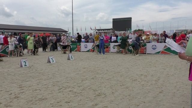 Сравнение класса чемпионов