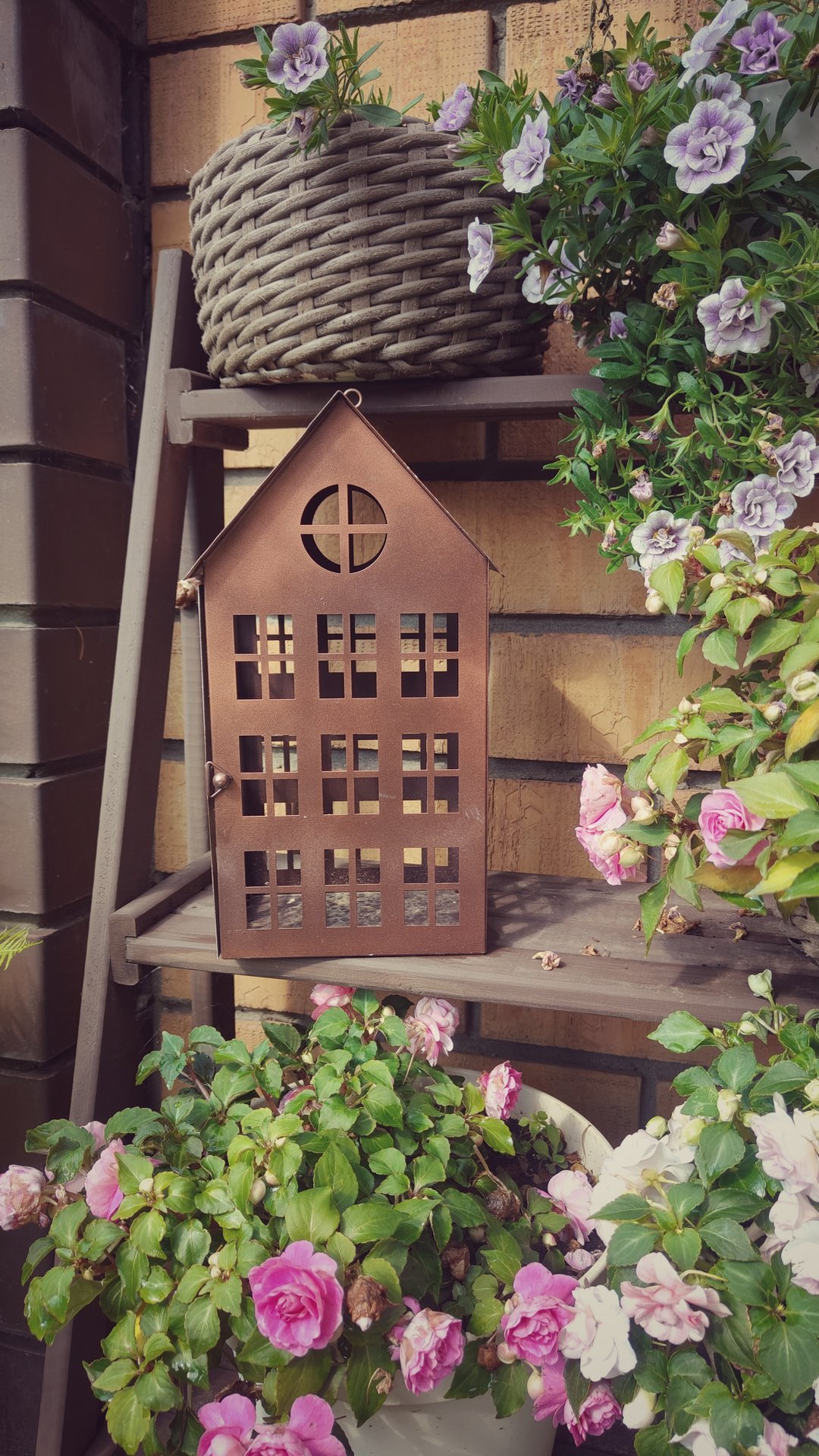 Садовые зарисовки💚