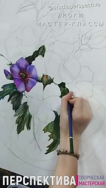 РАБОТЫ УЧАЩИХСЯ: Поздравляем с 8 марта | ГИБИСКУС