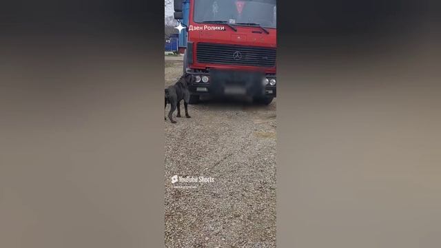 ПАПКА ПРИЕХАЛ!