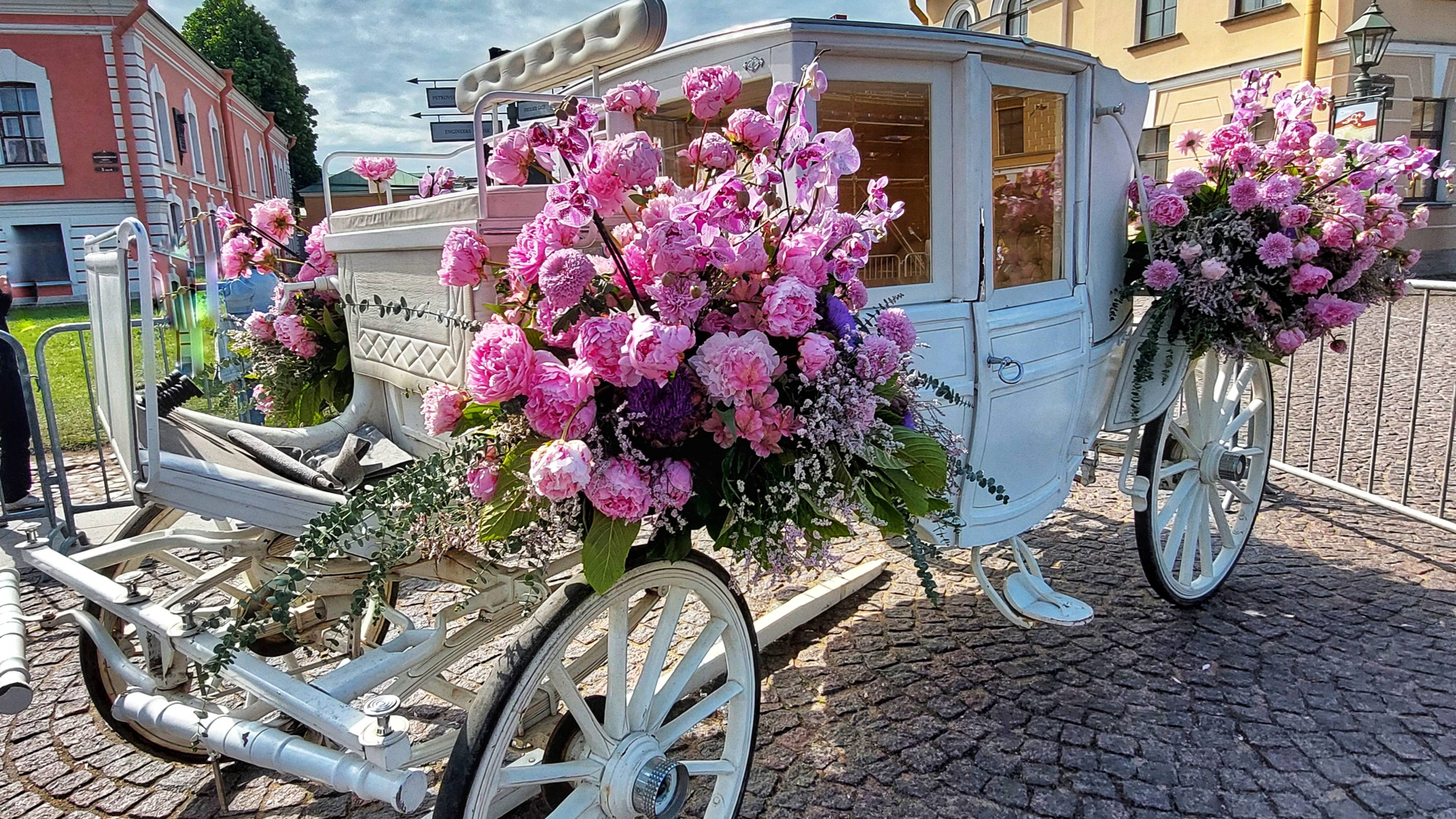 Вы видели когда-нибудь такое великолепие? Это выставка цветов в Петропавловской крепости 🌼🌹🪻