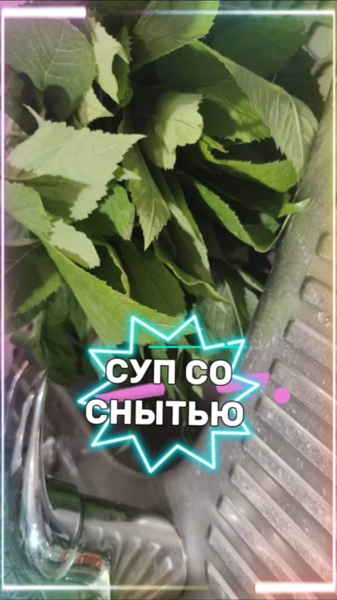 ПЕРЕШЛИ НА СОРНЯКИ. ВАРИМ СУП ИЗ СНЫТИ!