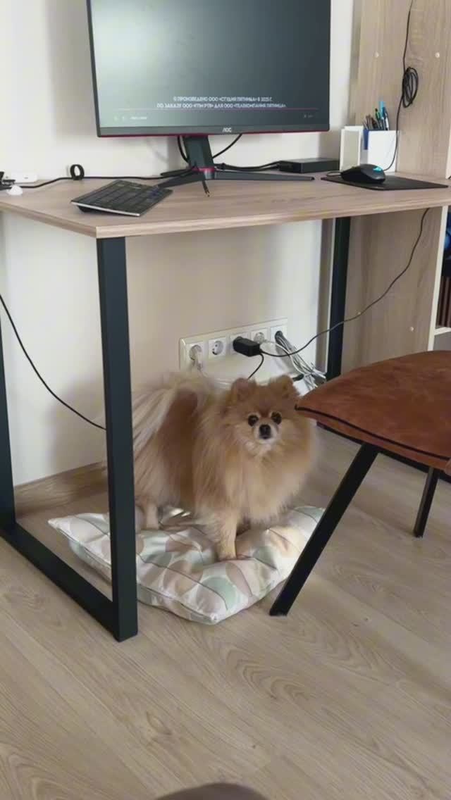 Я испортила Басины планы!