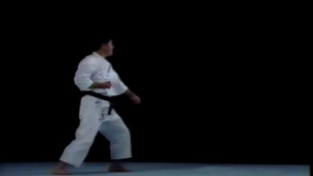 Хейан Нидан Вид сбоку