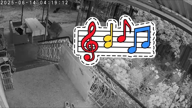 Птички поют 2)