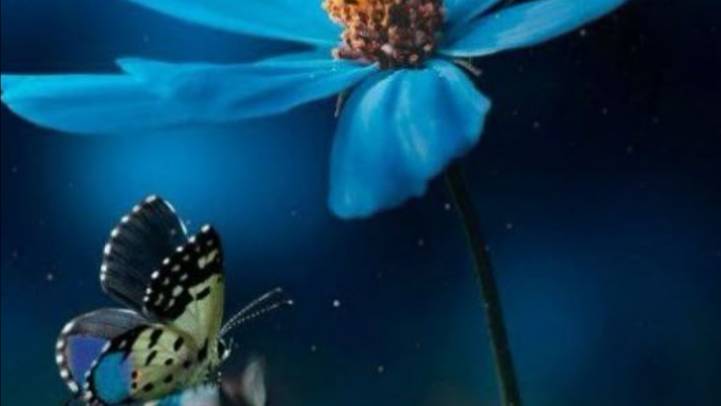 Бесплатные открытки доброй ночи 🌙