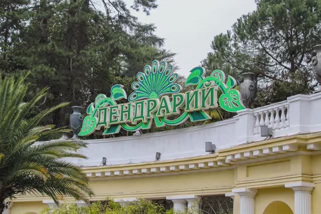 Дендрарий. Сочи