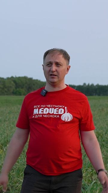 Опрыскиватель в поле #medved #агротехнологии #сельхозтехника #farming #купитьтехнику