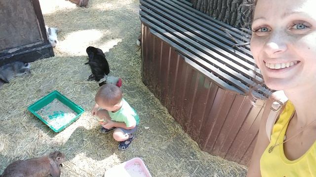 Кролики в Трогательном зоо