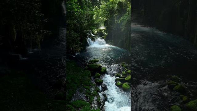 Супер релакс