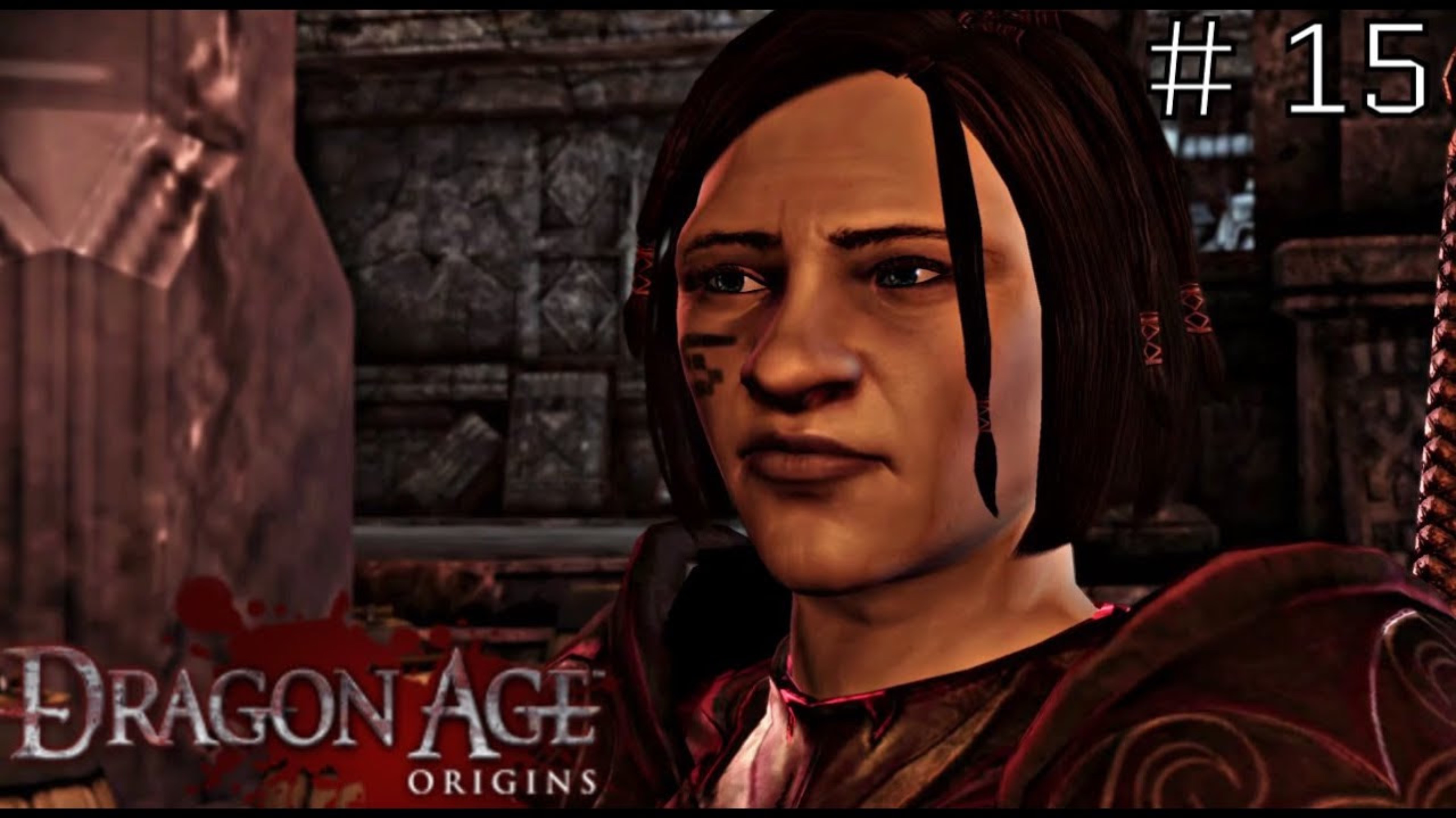 Убежище Хартии - Dragon Age: Origins - Часть 15