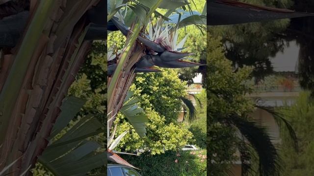 Канны: в ритме города