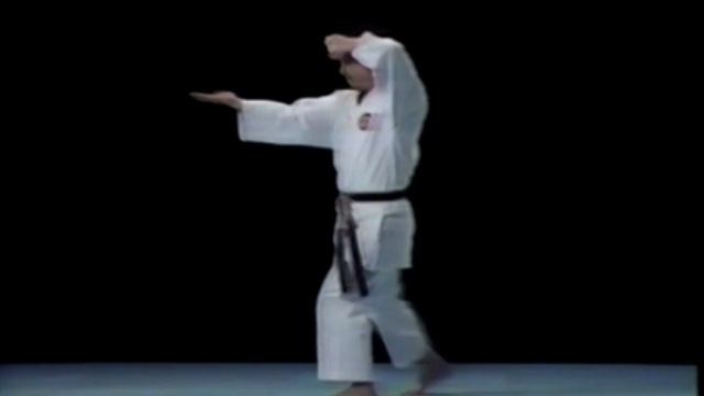 Хейан Ёндан Вид сбоку