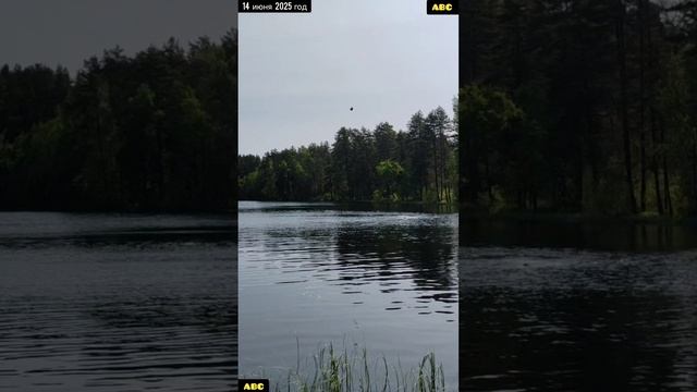 Опять АВС в озере #бодрыйдедза65лет #юныйпрадедбодрыйдед