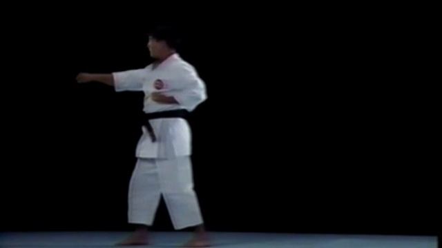 Хейан Сандан Вид сбоку