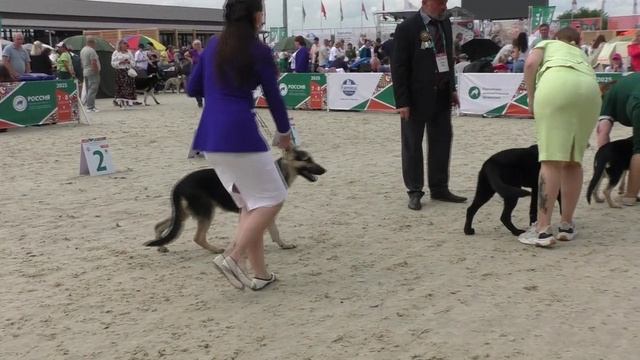 Сравнение класса беби