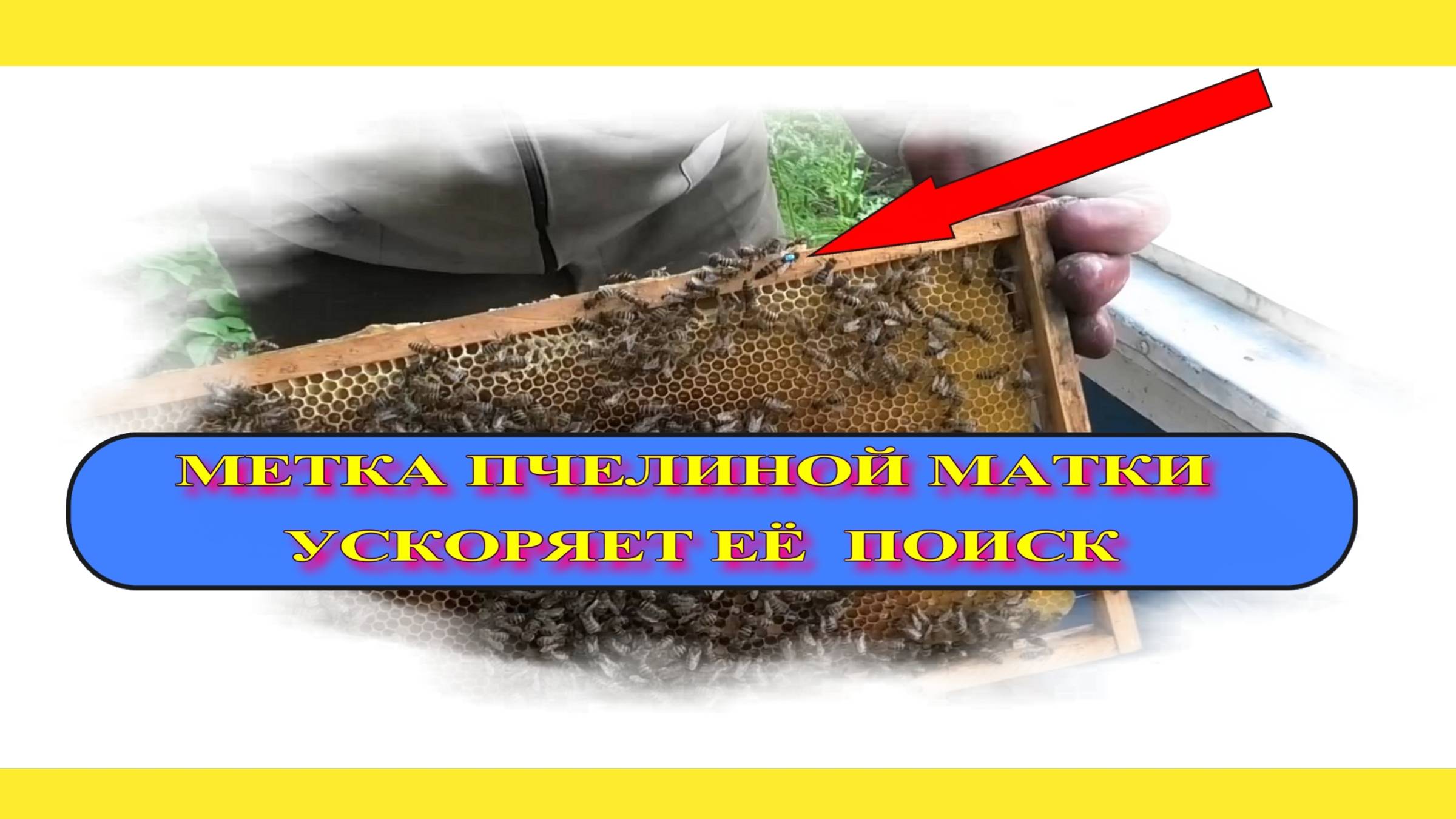 МЕТИМ МАТОК  РОЕВАЯ ВЫЛЕТЕЛА НО ВЕРНУЛАСЬ ОБРАТНО В УЛЕЙ.