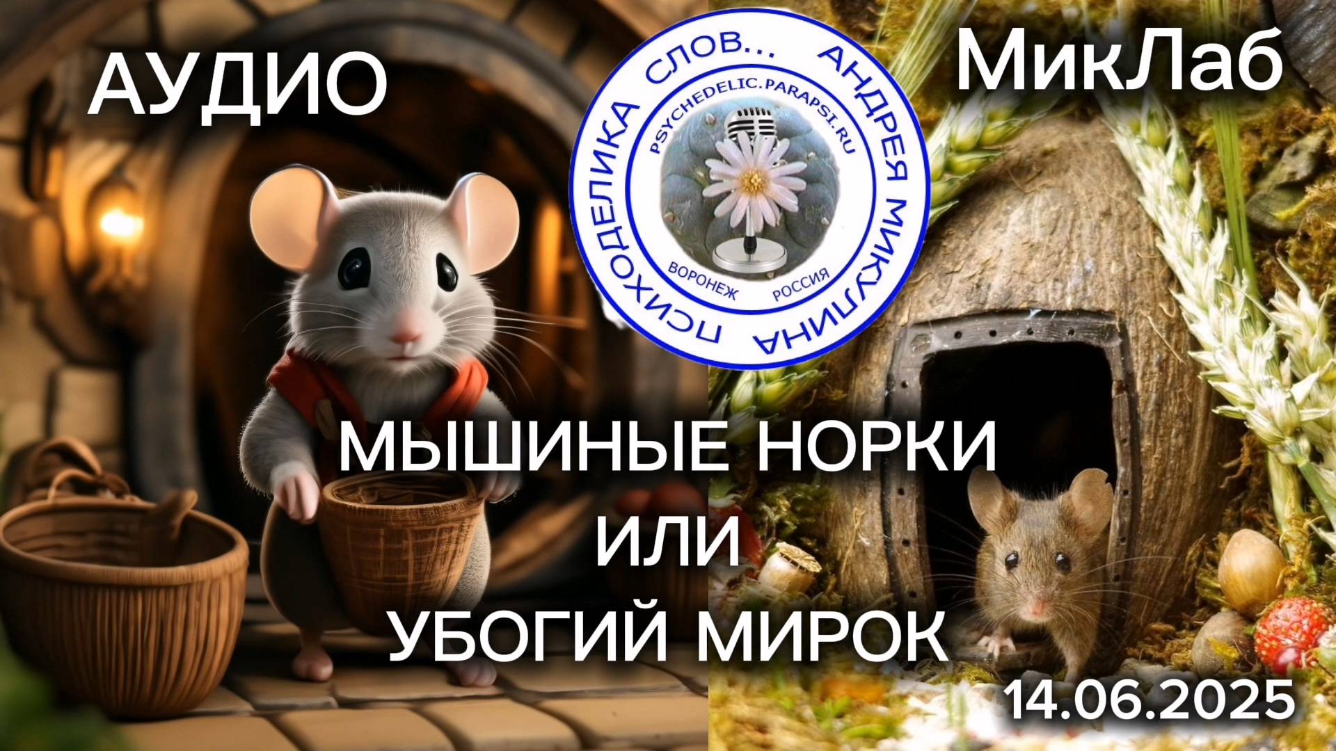 Мышиные норки или Убогий Мирок. Психоделика Слов. Прямой Эфир с Андреем Микулиным. 14.06.2025