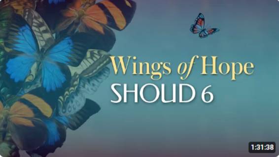 Серия Крылья Надежды - Шауд 06_01.03.2025