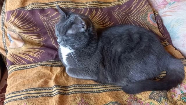 Дача 09-13 июня 2025г.