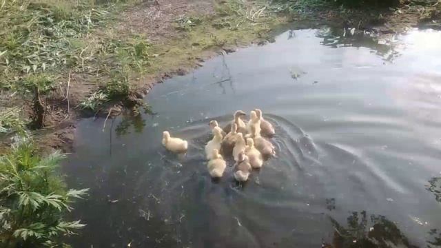 Купальный сезон открыт