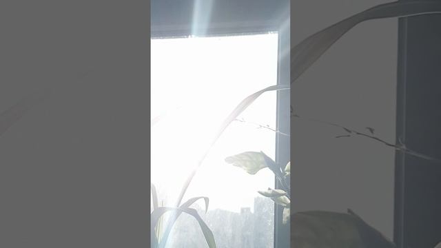 А вот что скрывал Царицынский! Лифты МЛМ 2020 в ЖК Царицынский