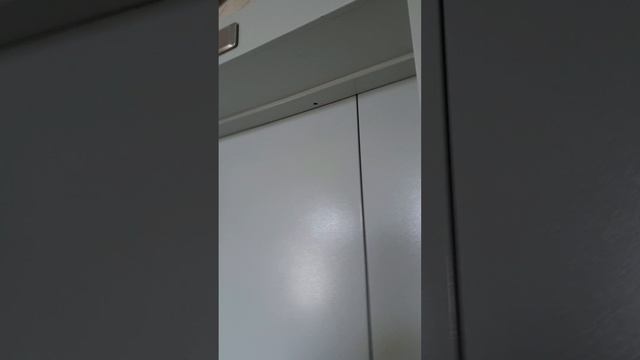 От дешёвых до дорогих! Лифты МЛМ 2019 в ЖК Царицынский