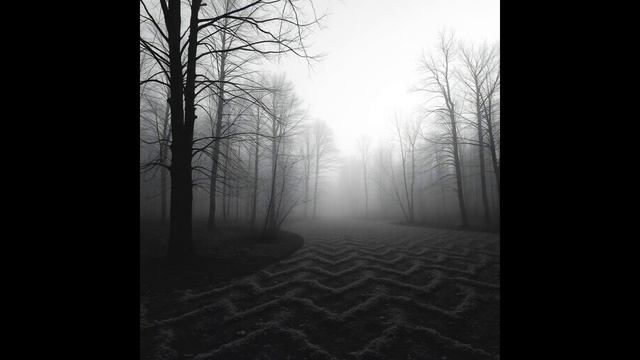 Not Old Bumzur - Udyrets Gnose (2025)