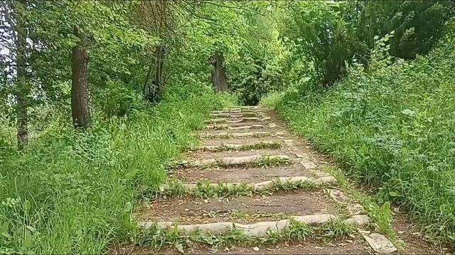 14-06-2025.Лесная сказка.