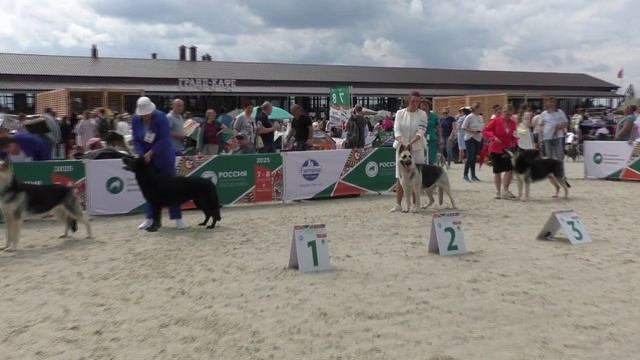 Сравнение на ЛС