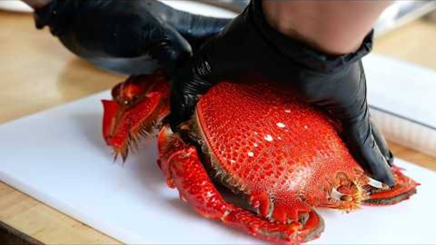 Вьетнам. Гигантский краб