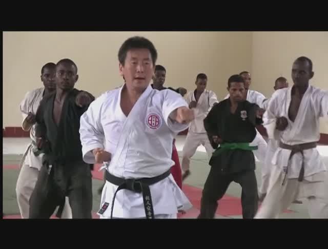 Проект Николая Коровина "Чёрный Пояс"