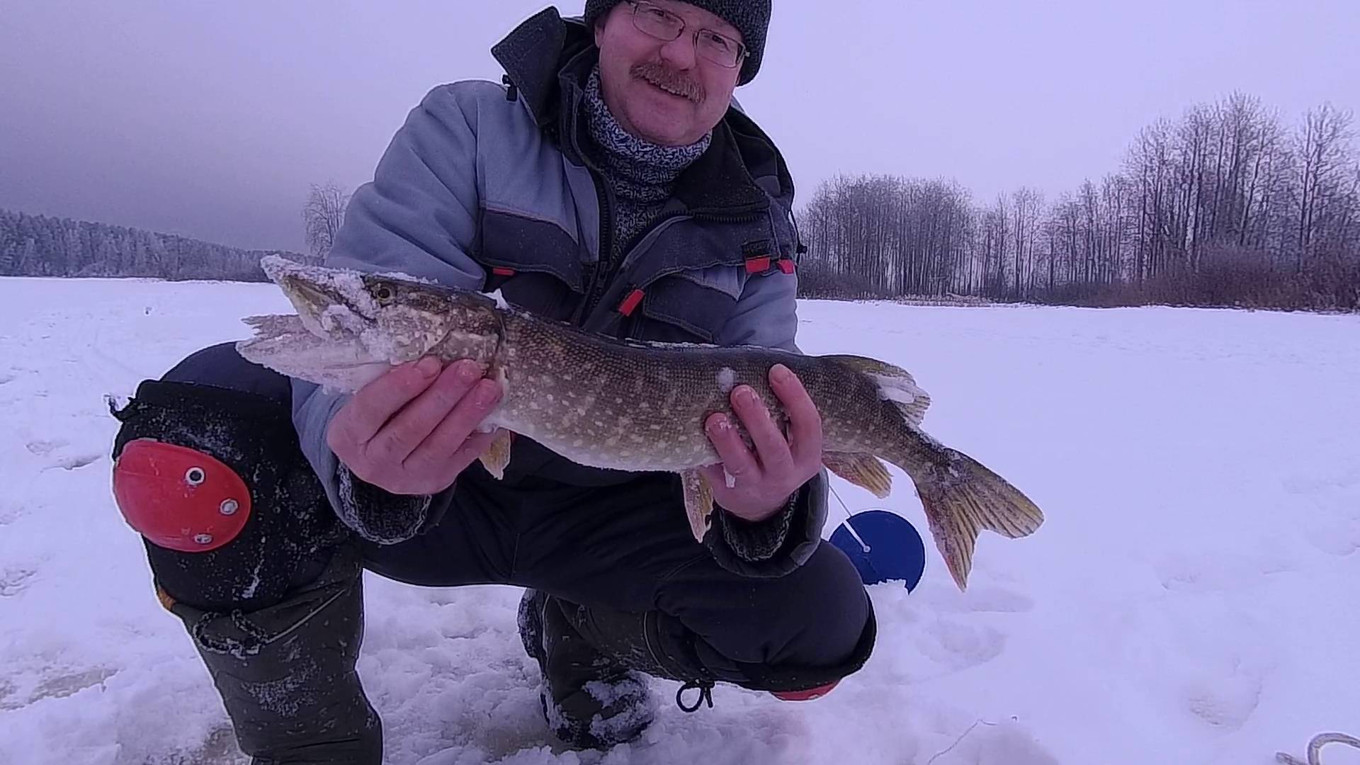 СРАБОТАЛА ЖЕРЛИЦА В ЯНВАРЕ / БЕЛОХОЛУНИЦКИЙ ПРУД В 2025Г.