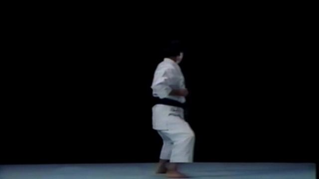 Хейан Сандан Вид сзади