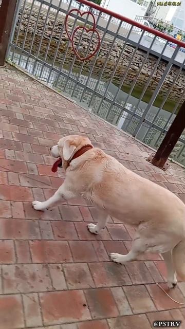 Тучи ходят хмуро