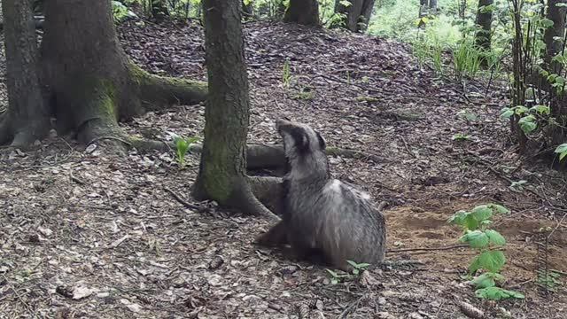 КАМЕРА СВАЛИЛАСЬ С "НЕБА"